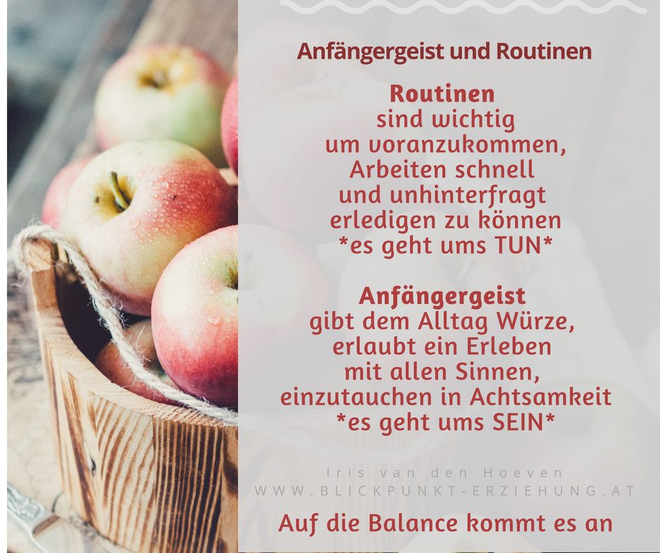 Achtsamkeit im Familienalltag - Blickpunkt Erziehung